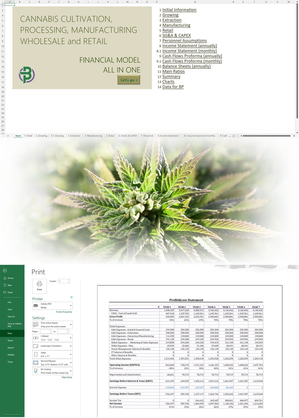 Cannabis Financial Model All in One for a mono or vertical business